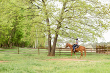 Heartland of Georgia SC Ranch - Midweek Getaway
