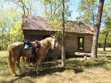 Ozarks Guest Ranch with Missouri Foxtrots