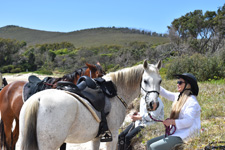 Comboyne Plateau and Beach Ride - Horseback Vacations in Australia