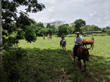 Ride & Tours in Belize