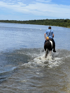 Brazil Equestrian Vacations South America Rio