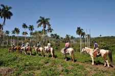 Western Cuba Riding Holiday
