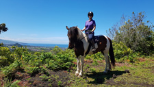 Portugal Azores Islands Horseback Riding Getaway