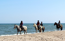 Beach Rides horseback riding vacations