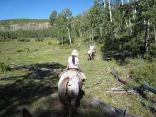 Dixie Forest Riding Adventure