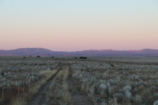 Gallinas Mountains Working Ranch