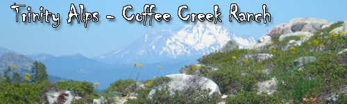 Trinity Alps Coffee Guest Creek Ranch in California, USA